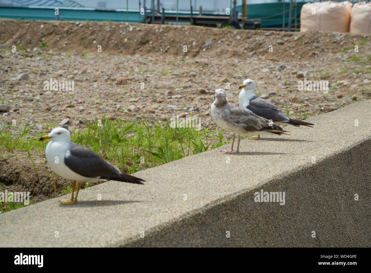 Beautiful shot seashore town hi-res stock photography and images - Alamy