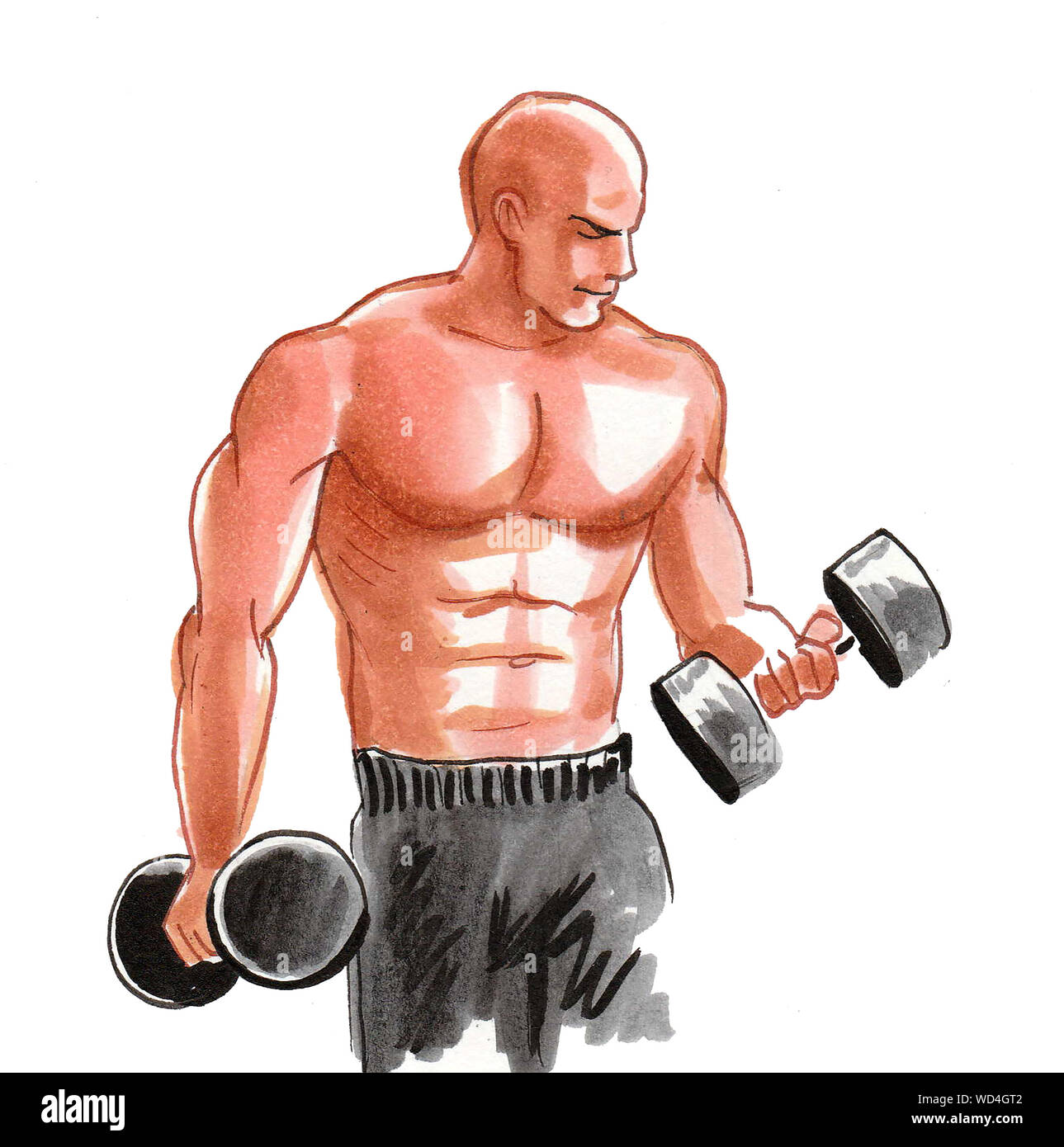 Bodybuilder artwork hi-res stock photography and images - Alamy