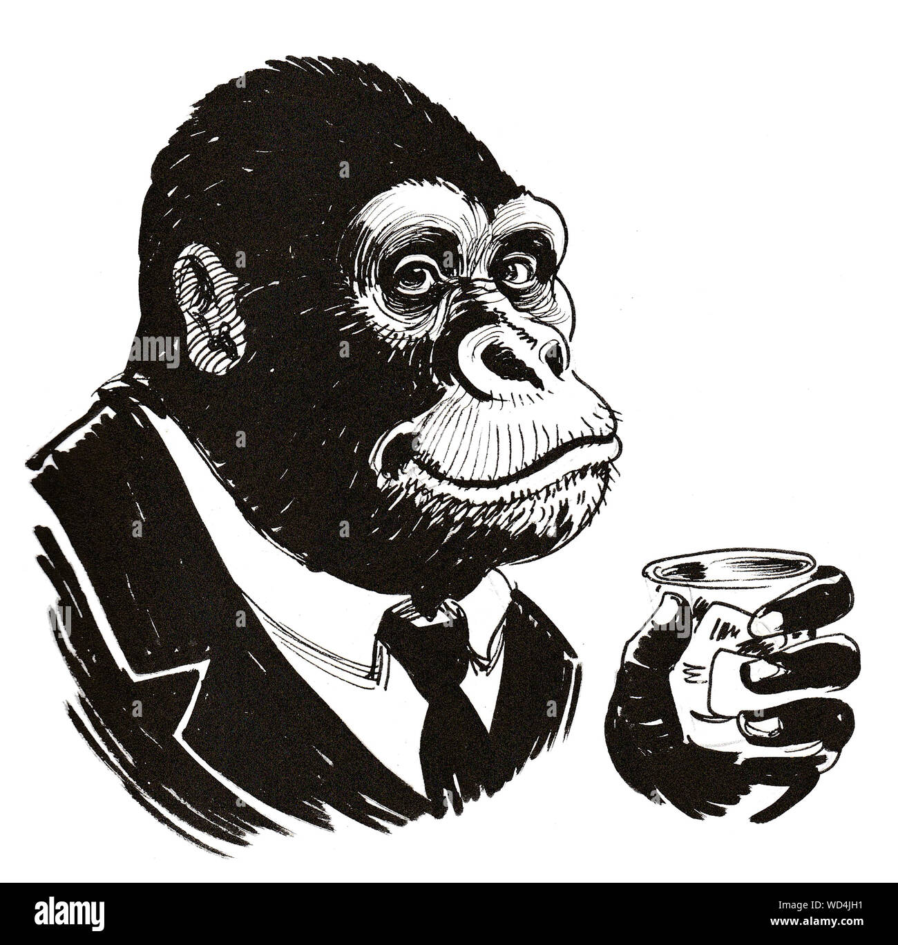 Chimp drinking hi-res stock photography and images - Alamy