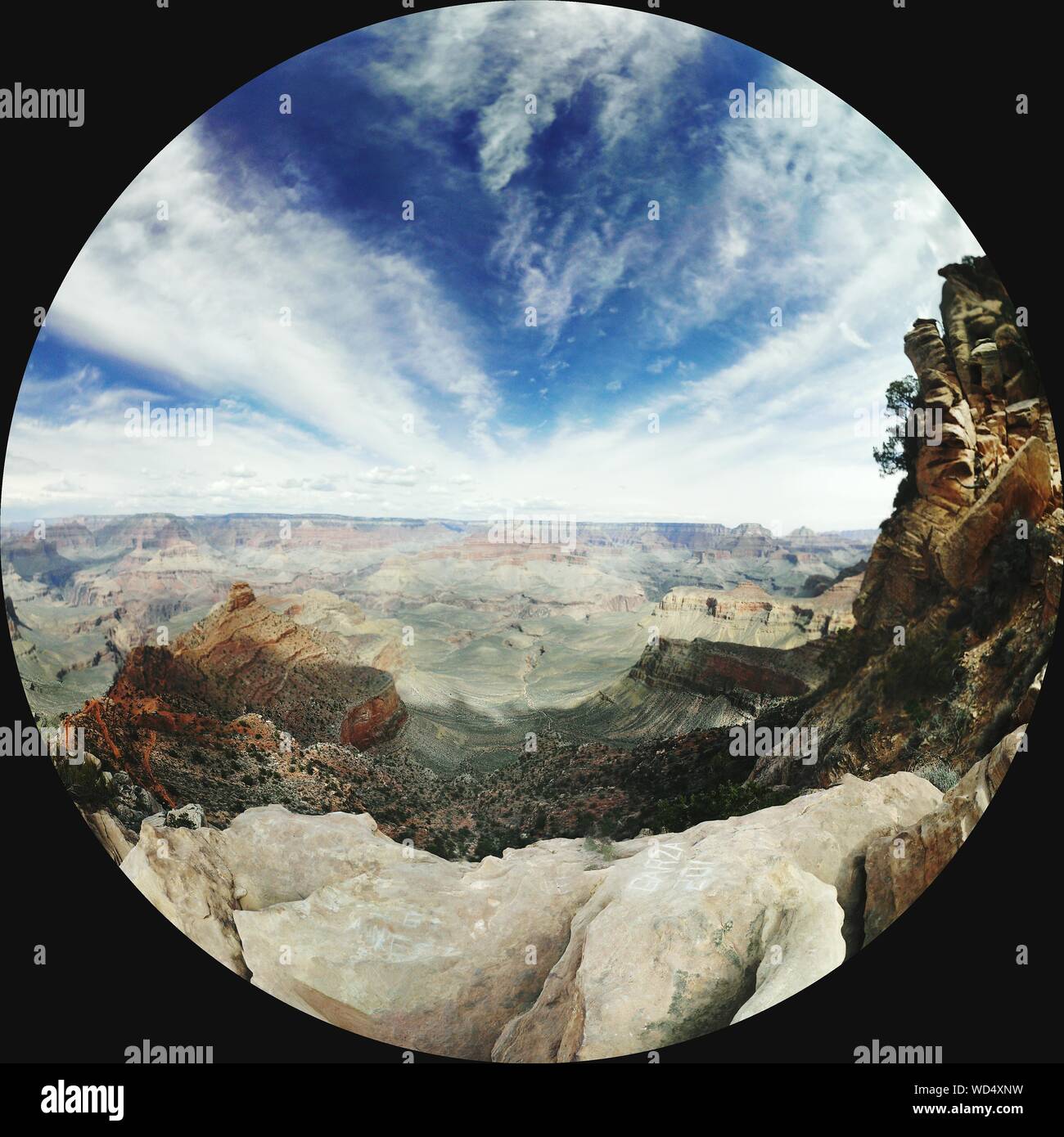 Circular Formation High Resolution Stock Photography and Images - Alamy