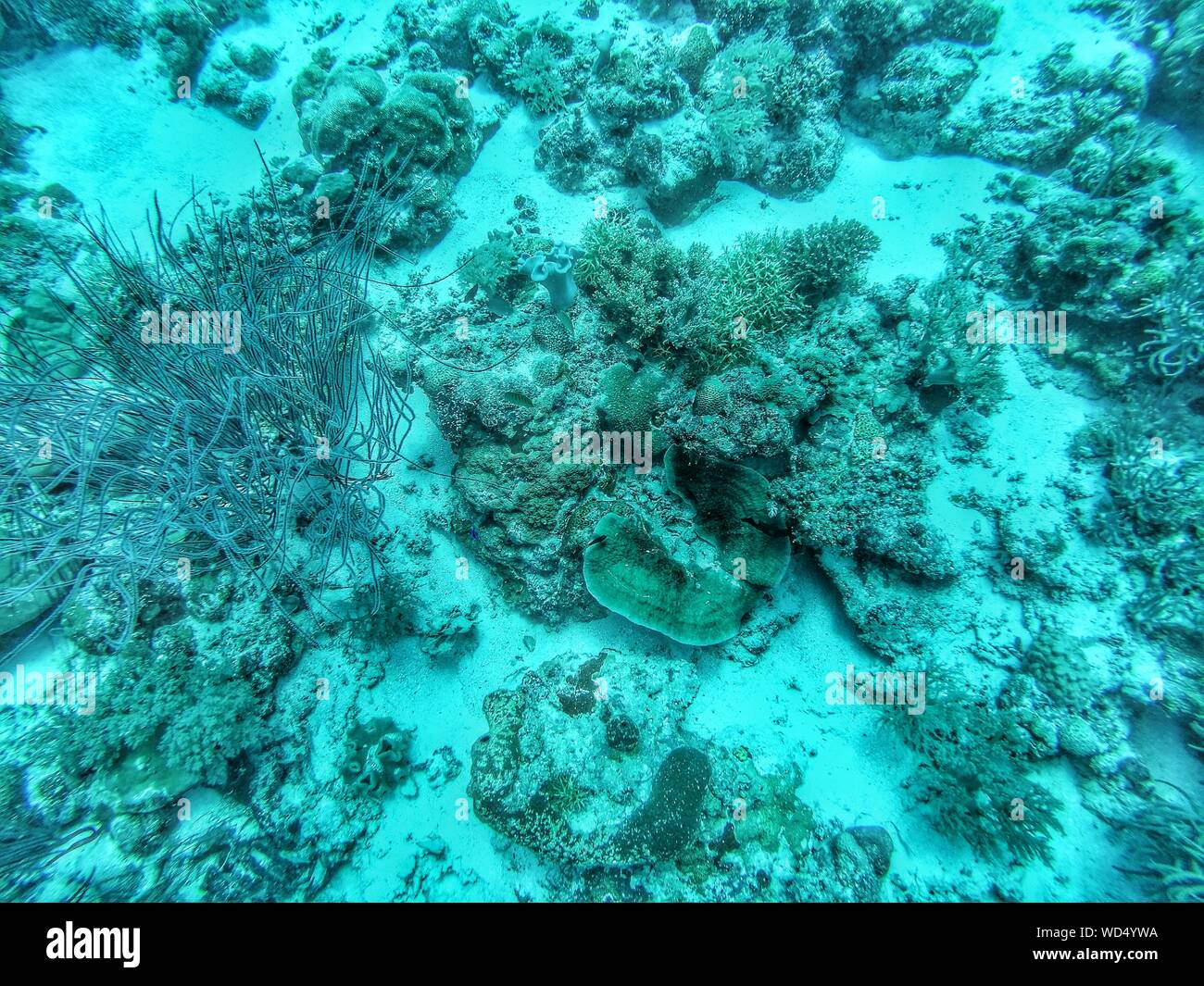Deep ocean floor hi-res stock photography and images - Alamy