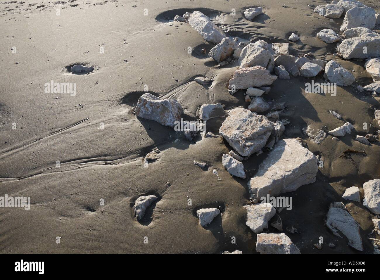 Muddy shore hi-res stock photography and images - Alamy