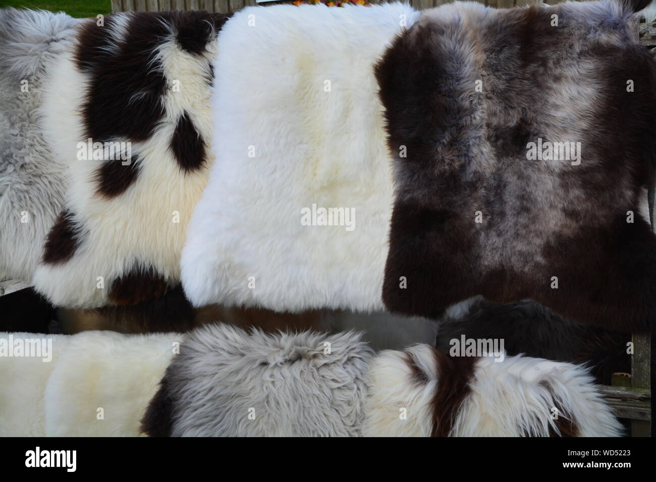 Hanging Fur High Resolution Stock Photography and Images - Alamy