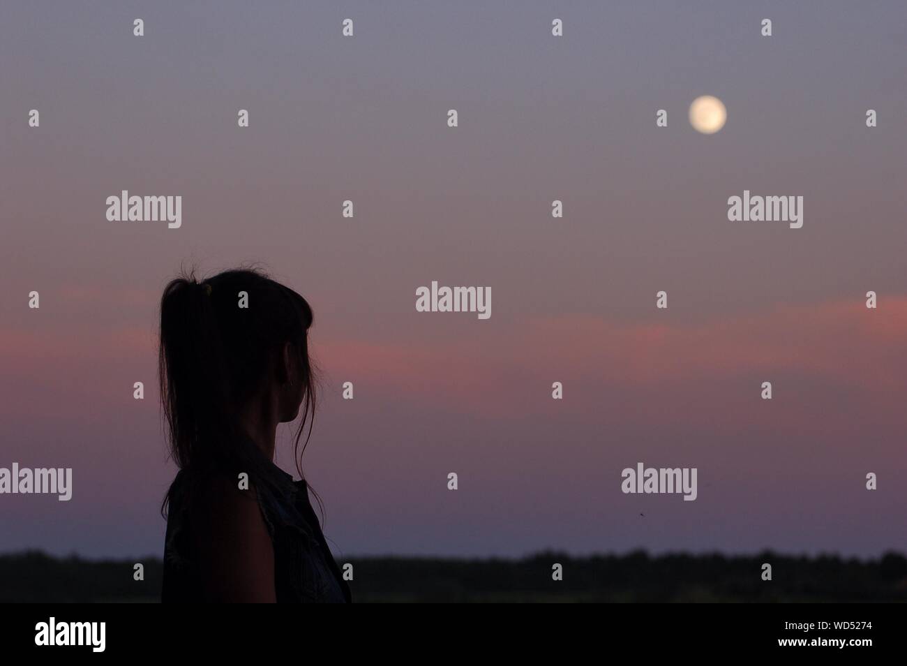Looking up at moon hi-res stock photography and images - Alamy
