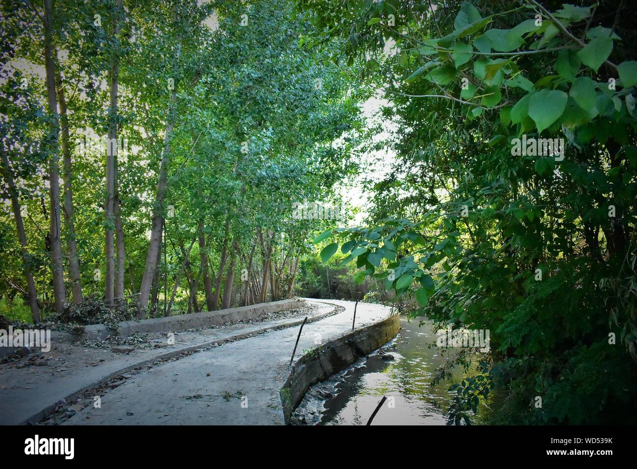 Plants, Gardens and Greenery Stock Photo - Alamy