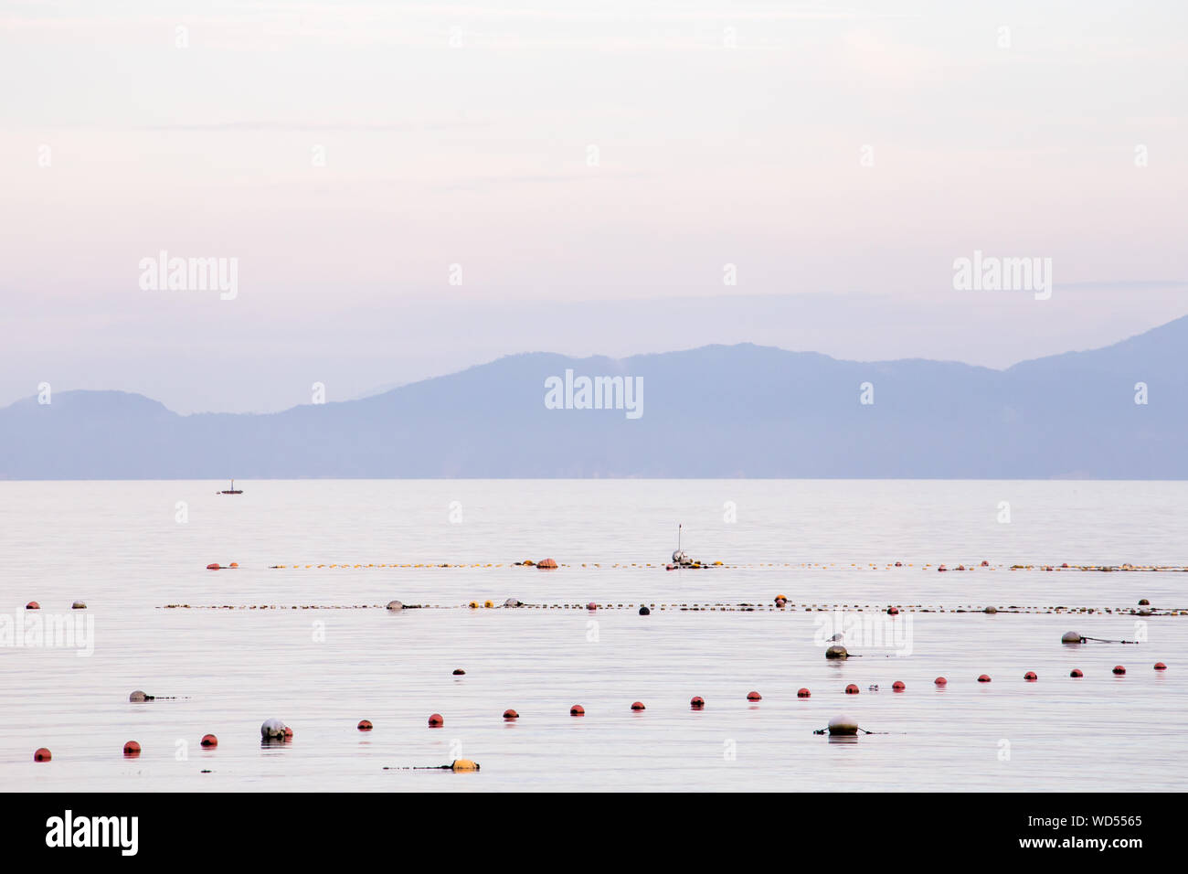 Floating nets hi-res stock photography and images - Alamy