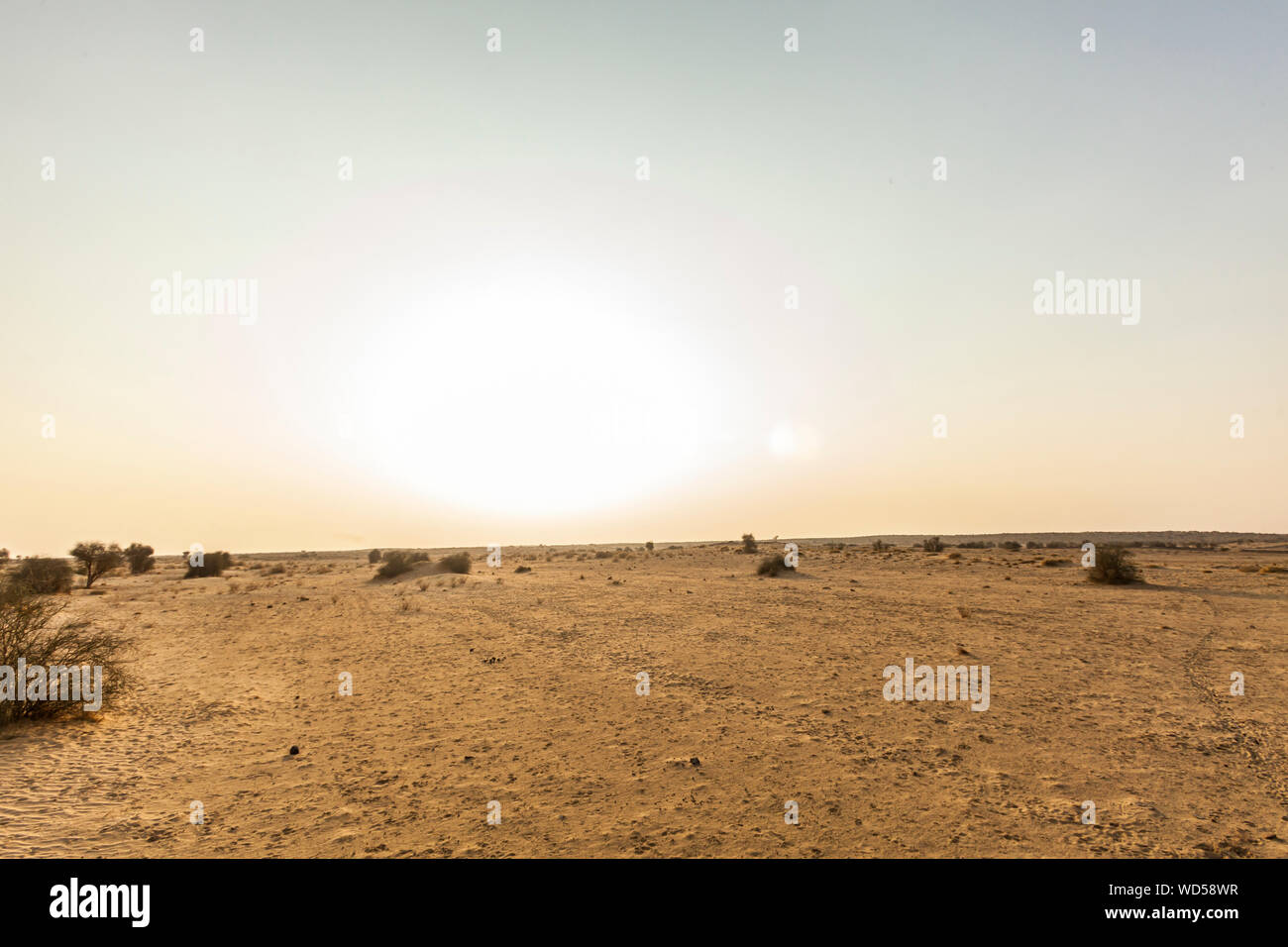 The Thar Desert, Rajasthan, India Stock Photo - Alamy