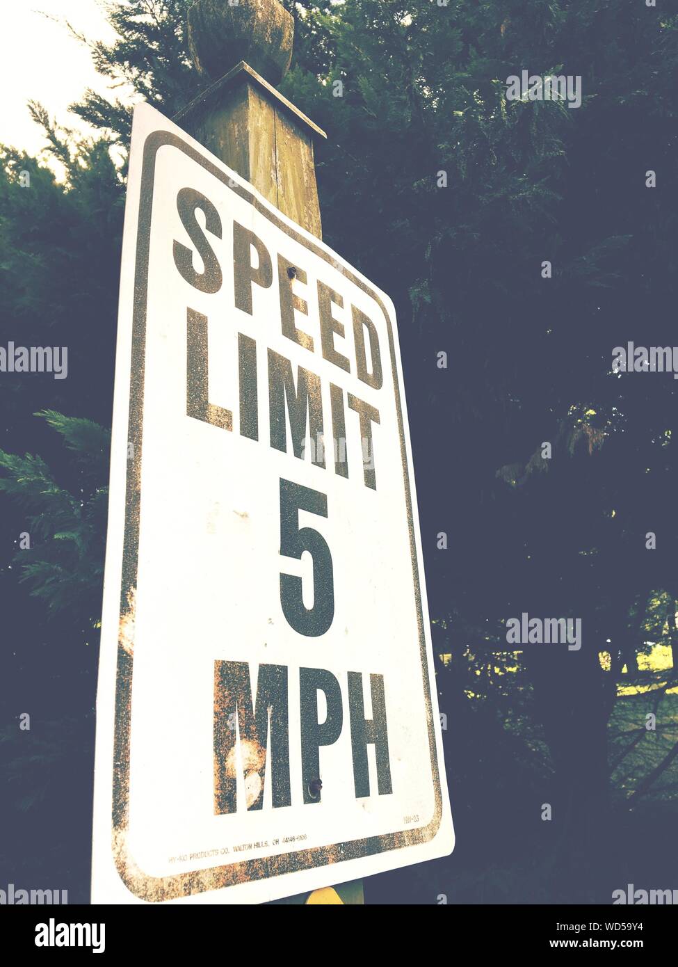 Speed Limit Sign By Trees Stock Photo - Alamy