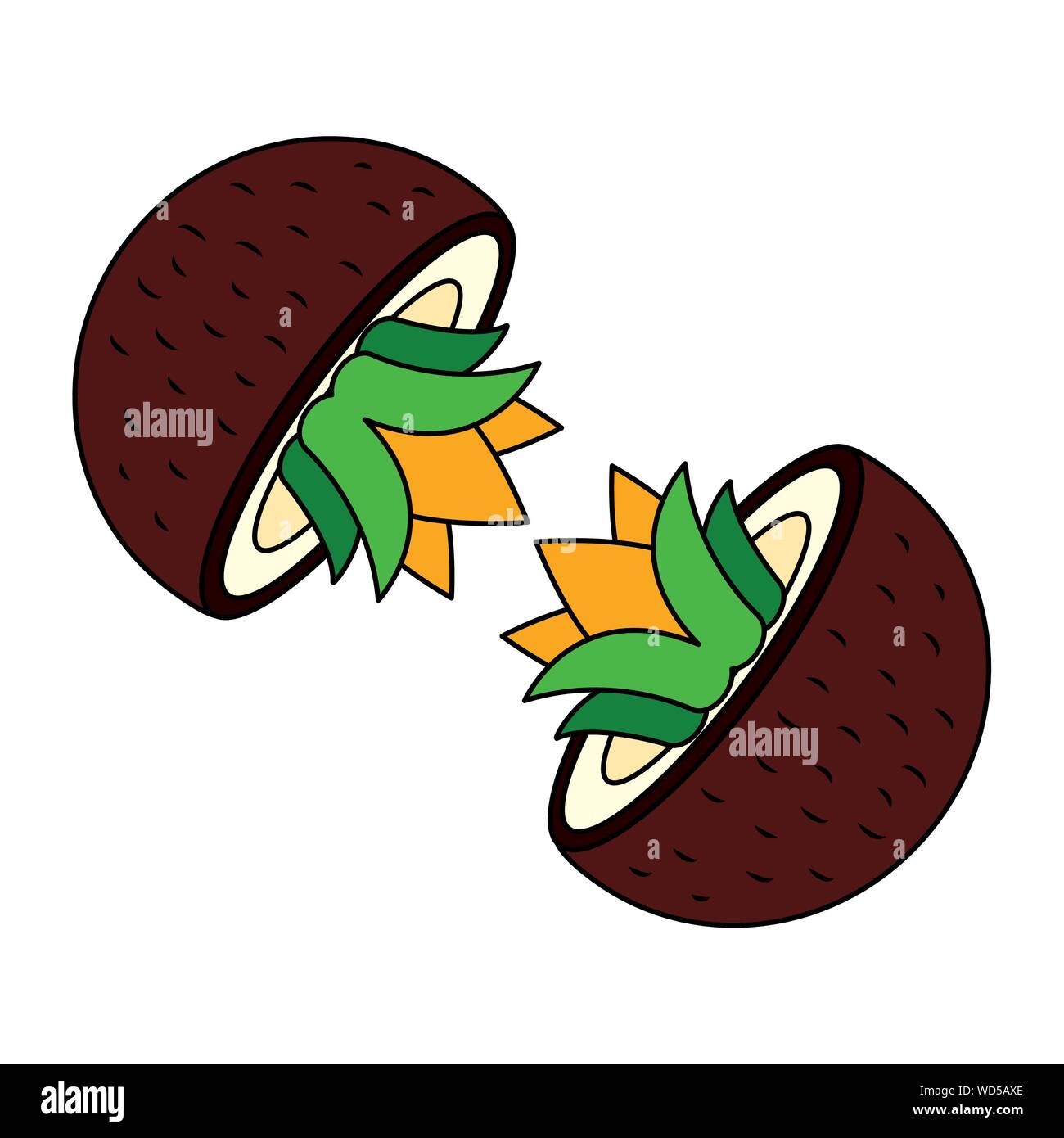 Fruit india Stock Vector Images - Alamy