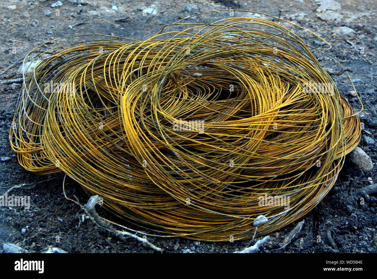 Yellow cable hi-res stock photography and images - Alamy