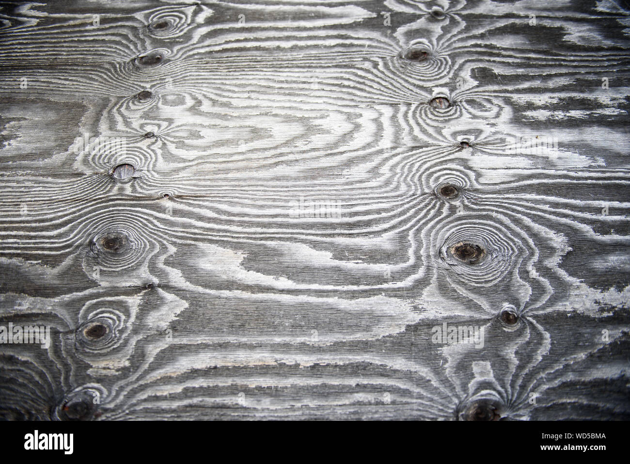 Background image. Abstract graphic high-contrast the texture of the ...