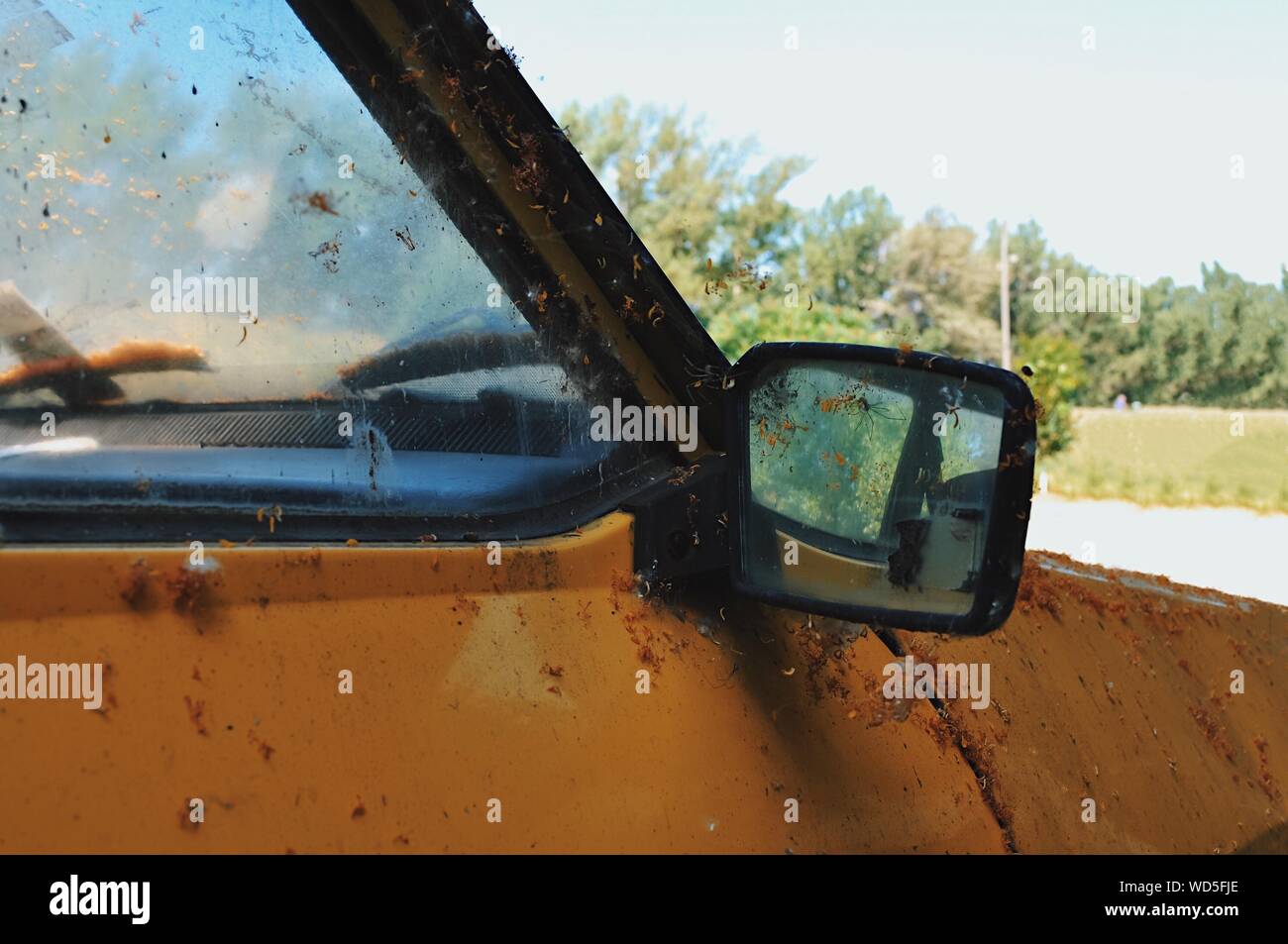 Spider web car hi-res stock photography and images - Alamy