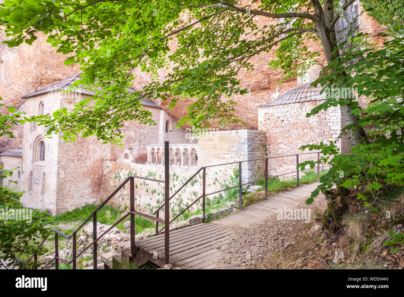 Real jaca hi-res stock photography and images - Alamy