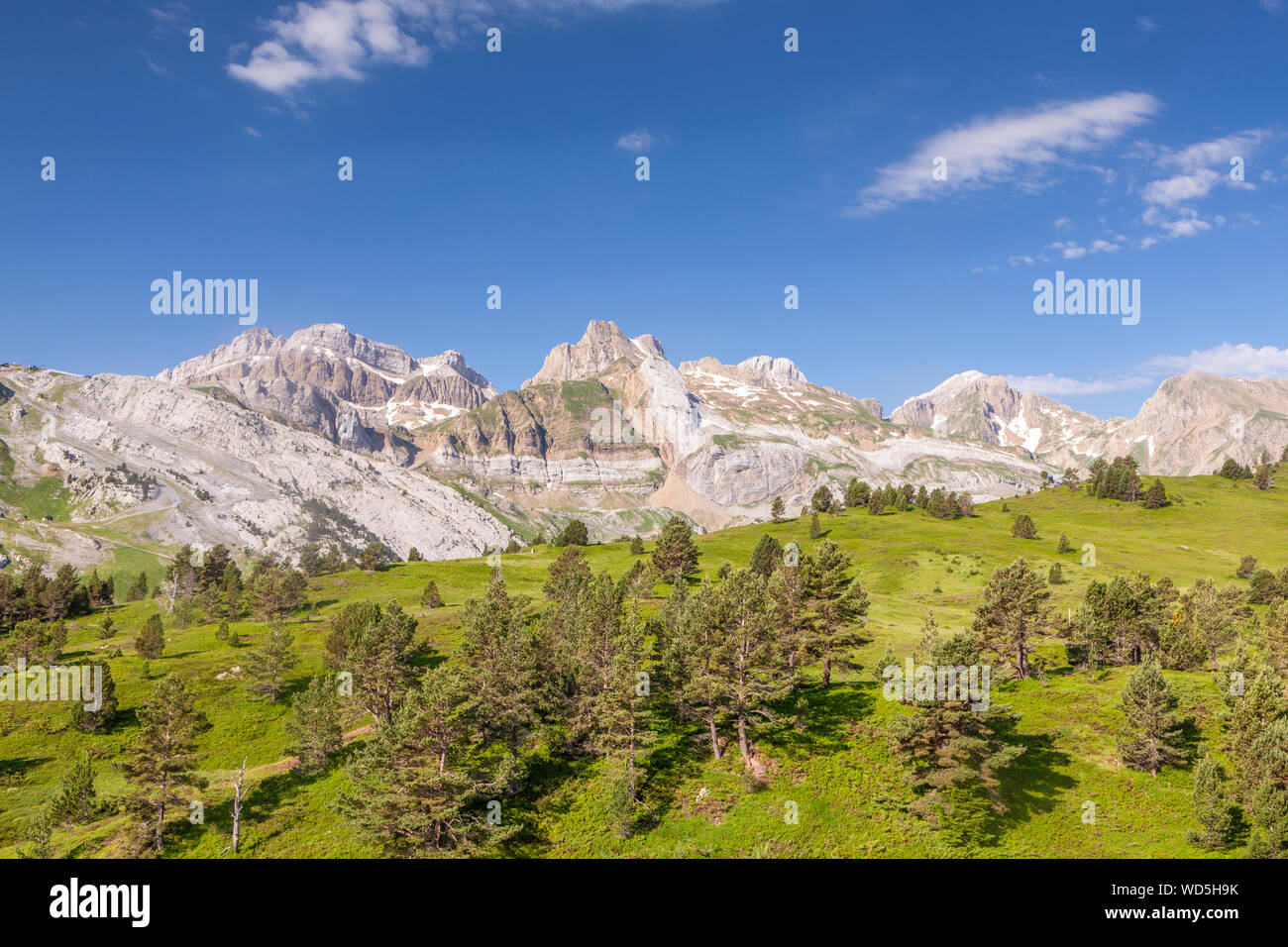 Candanchu tree hi-res stock photography and images - Alamy