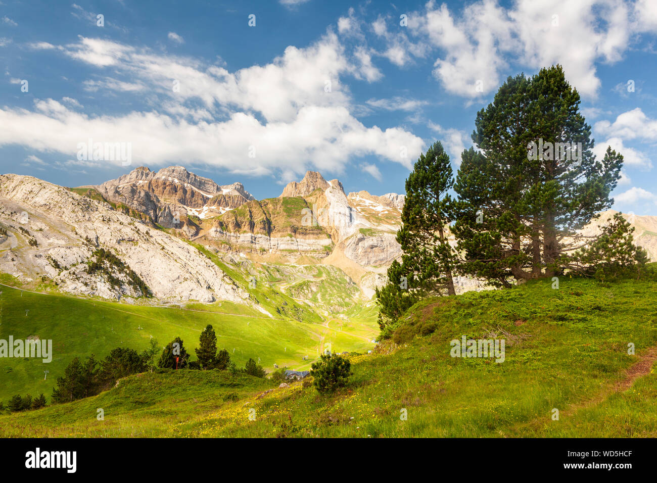 Candanchu tree hi-res stock photography and images - Alamy