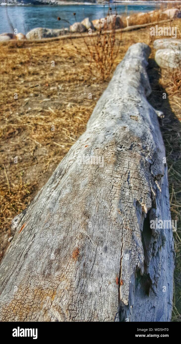 Log On Lakeshore Stock Photo - Alamy