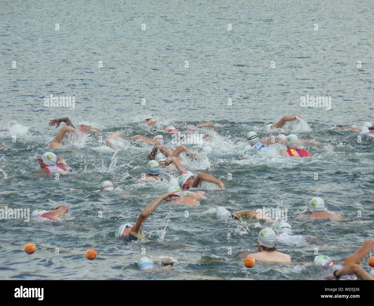 Competitive swimmers hi-res stock photography and images - Alamy