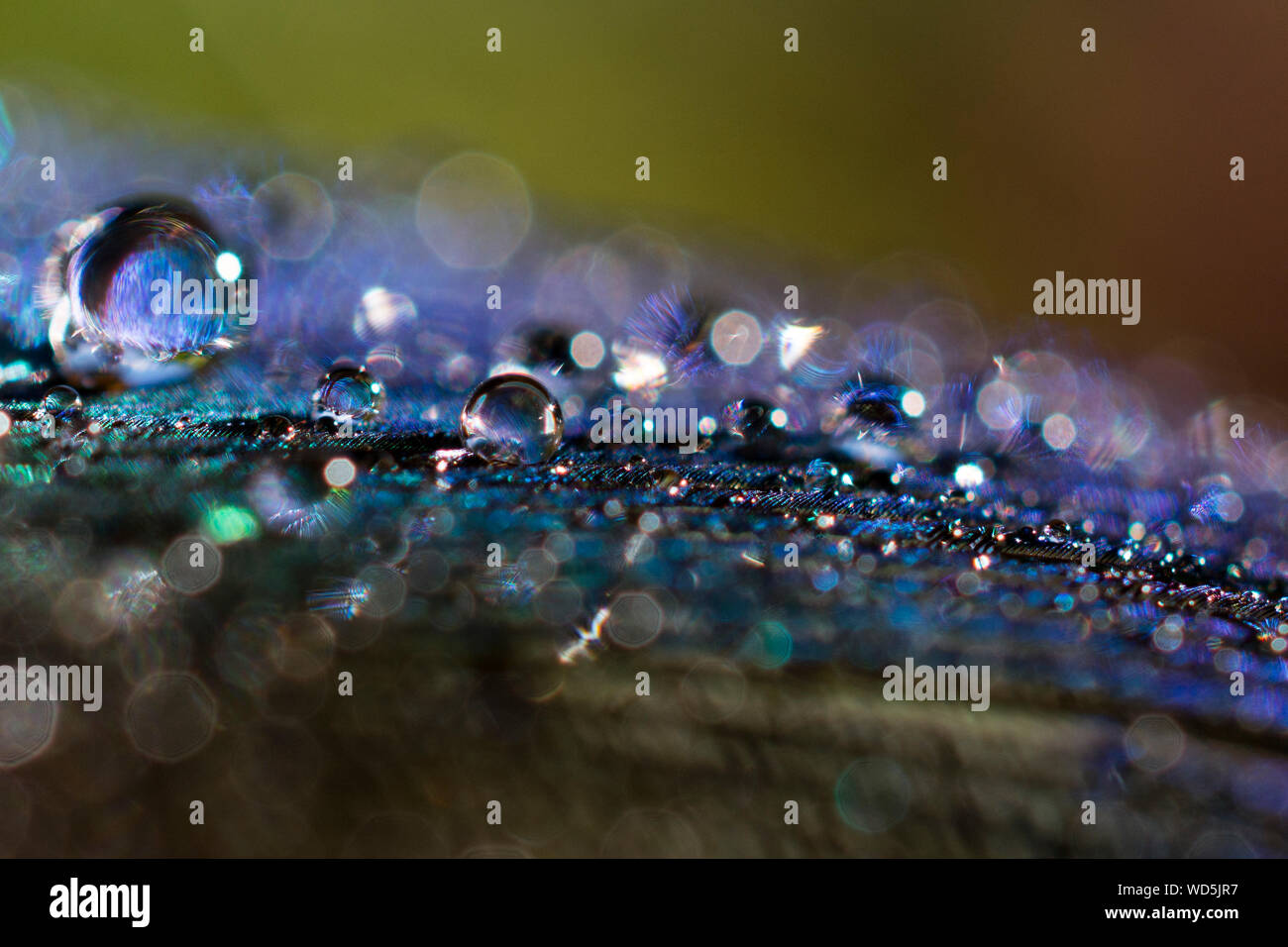 Flare surface hi-res stock photography and images - Alamy