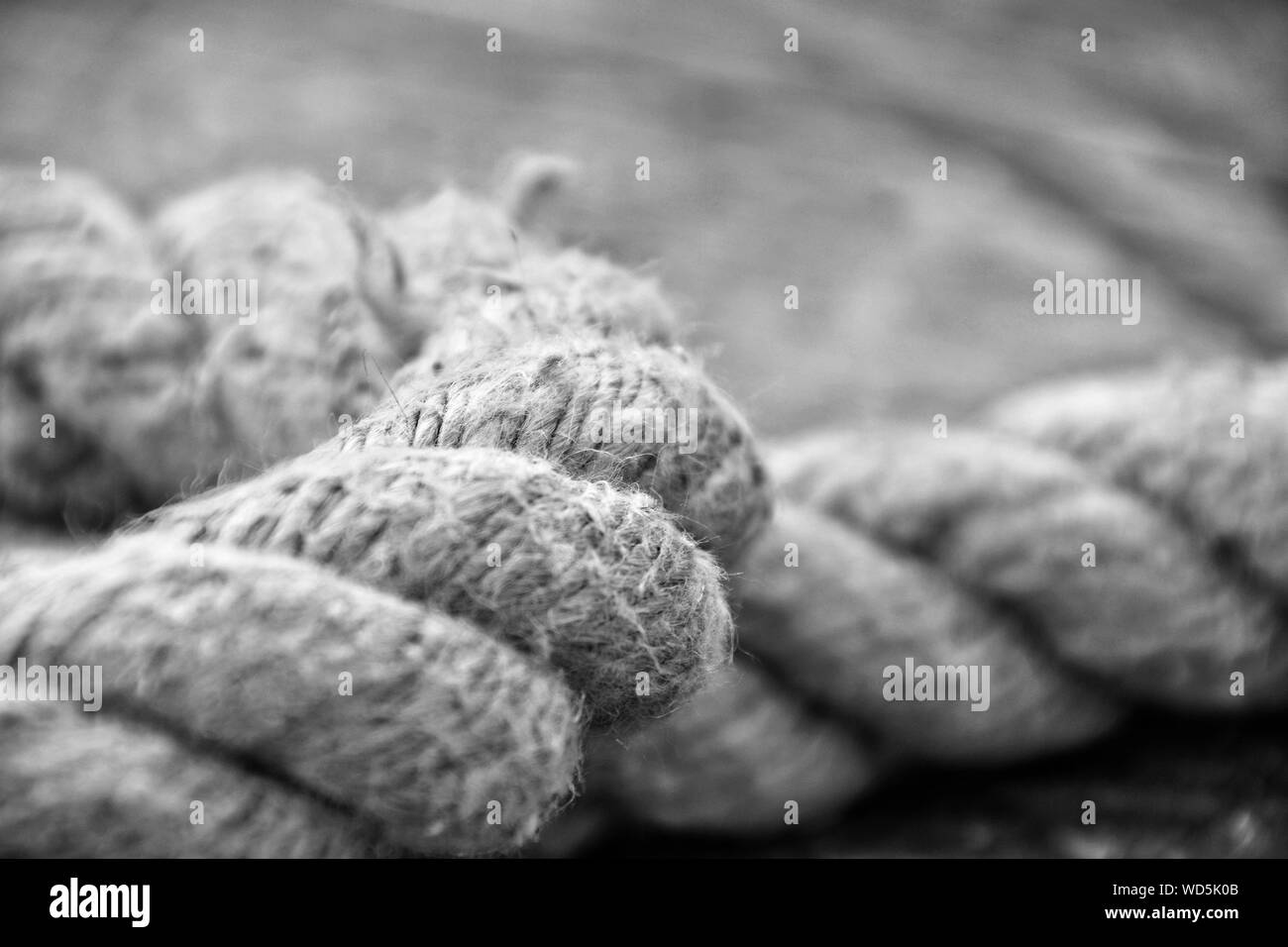 Eye sack hi-res stock photography and images - Alamy