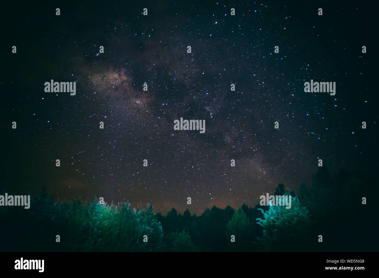 Starry night trees hi-res stock photography and images - Alamy