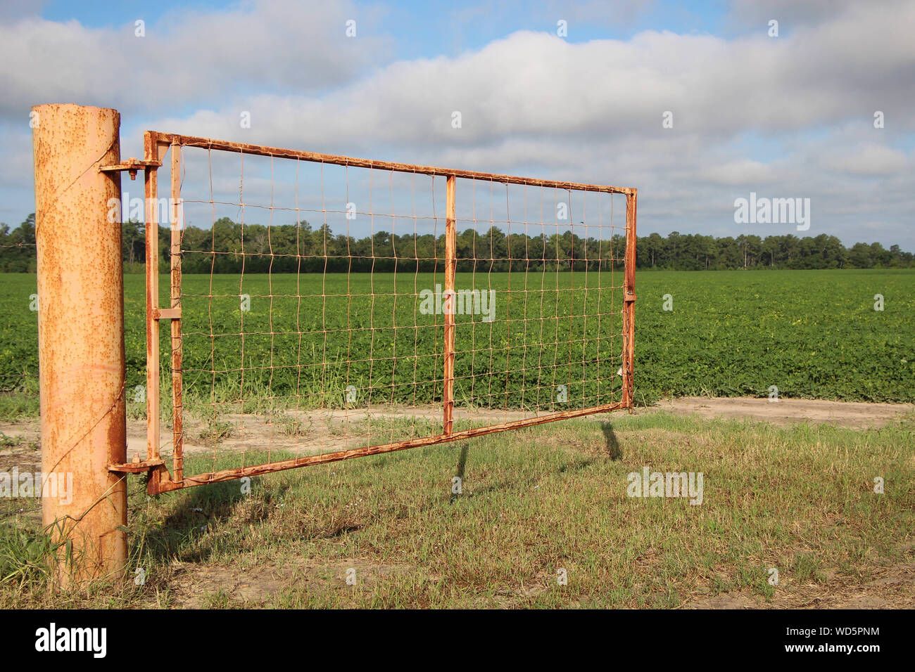 Metal gate in field hi-res stock photography and images - Alamy