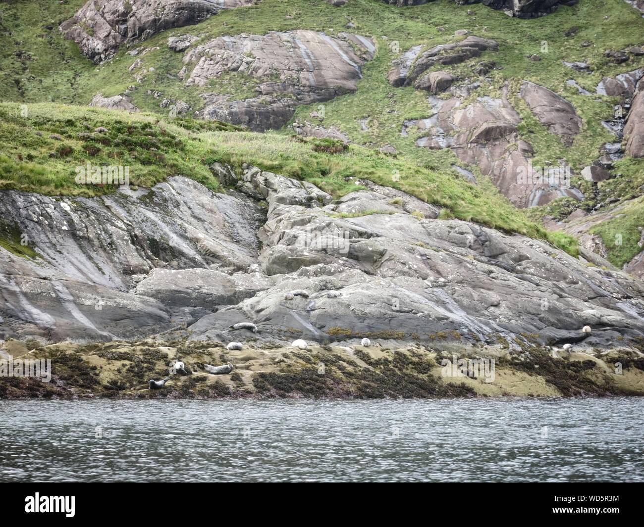 River flowing into the ocean hi-res stock photography and images - Alamy