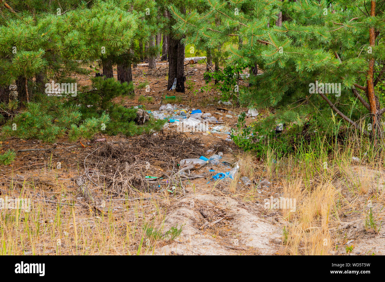 Elemental garbage dump in the forest. Environment Stock Photo - Alamy