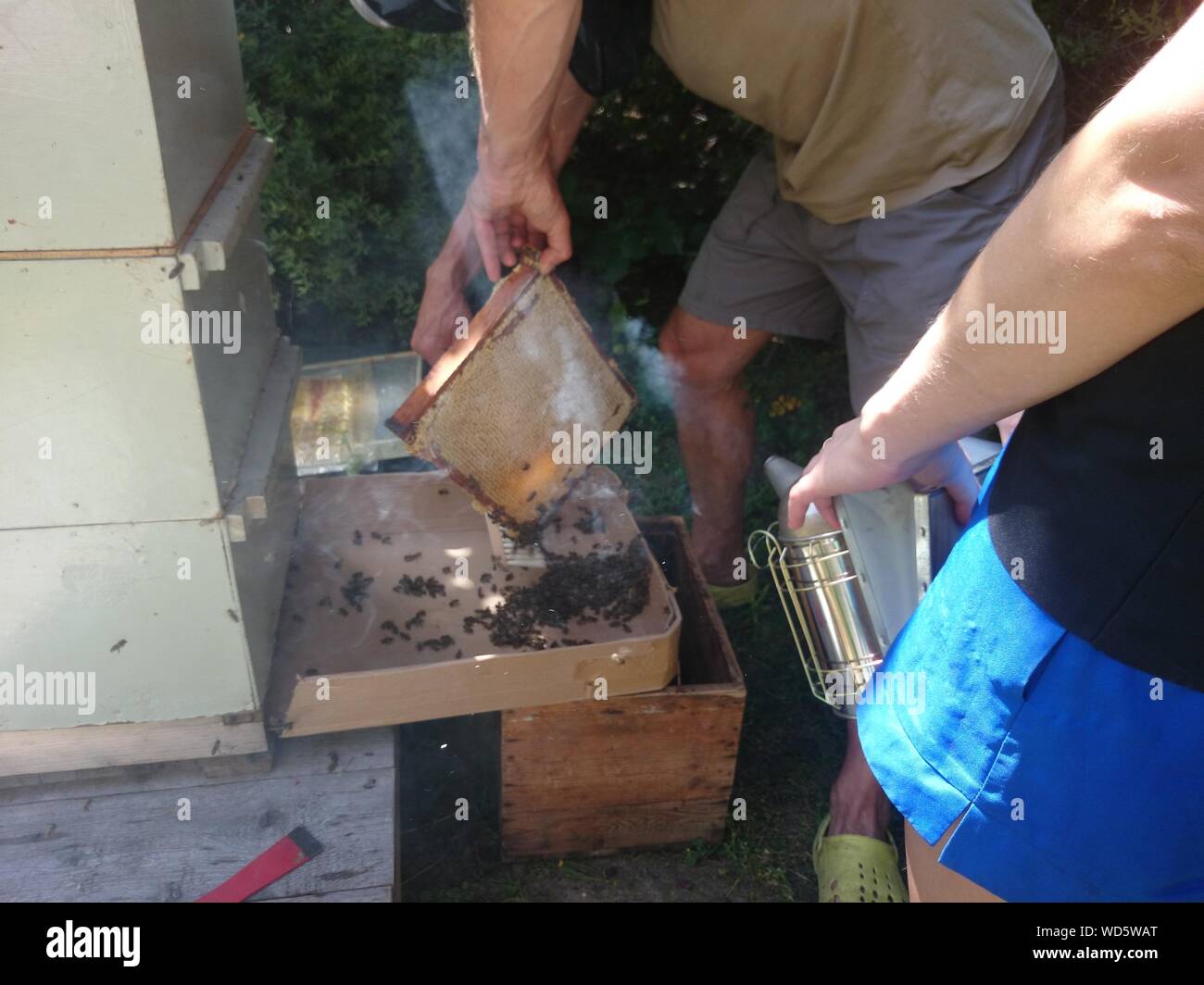 Beekeeping group hi-res stock photography and images - Alamy