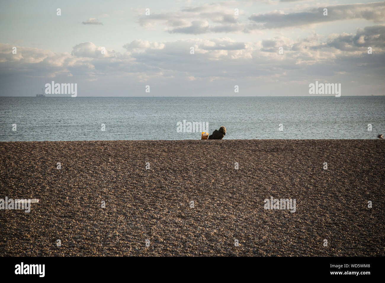 Women sunset beach hi-res stock photography and images - Alamy