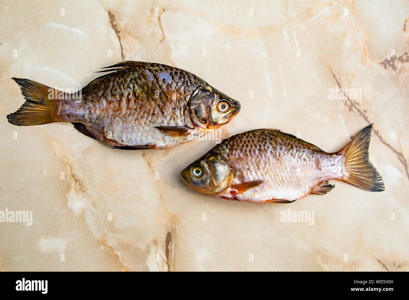 Perch Scales Macro High Resolution Stock Photography and Images - Alamy