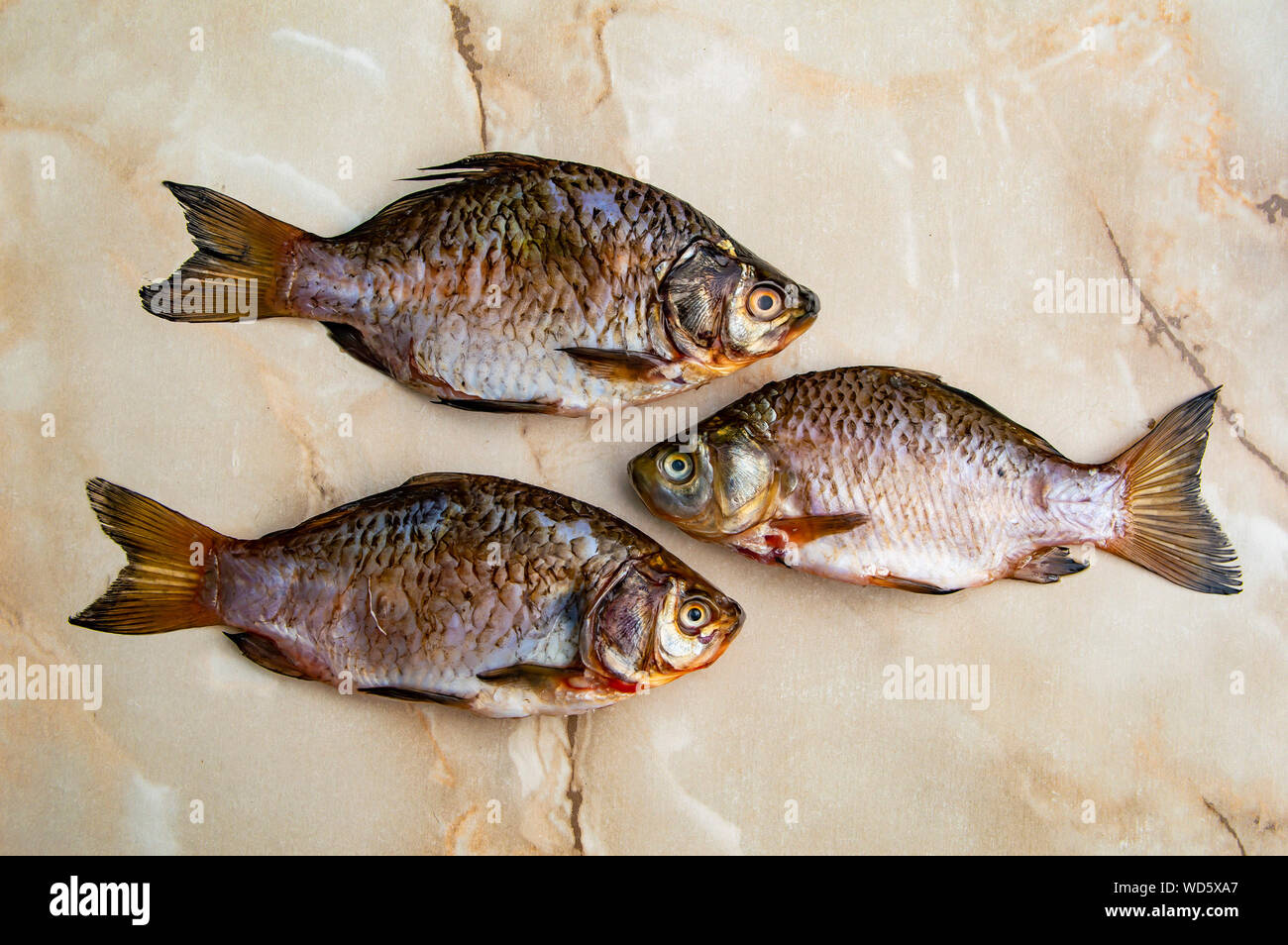 Perch scales macro hi-res stock photography and images - Alamy