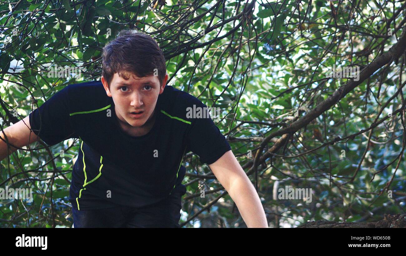 Teenage boy tree hi-res stock photography and images - Alamy