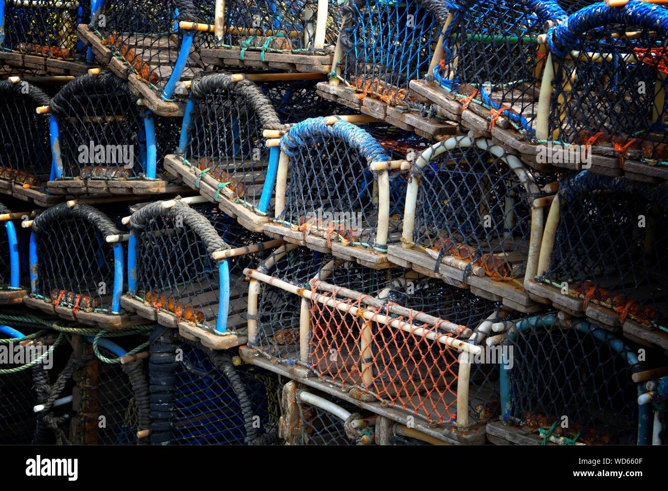 Row of cages hi-res stock photography and images - Alamy