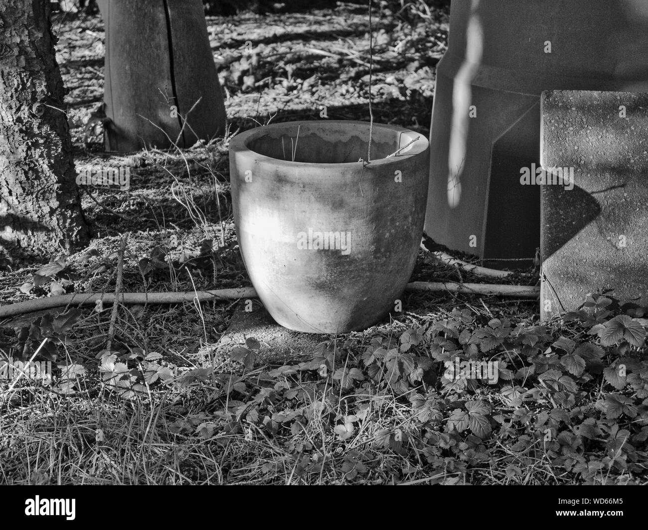 Empty pot hi-res stock photography and images - Alamy
