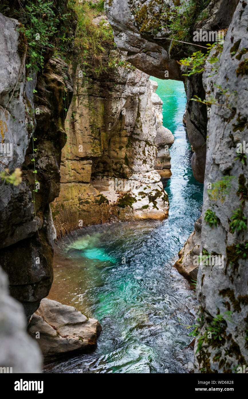 Beautiful scene in a gorge with blue clean mountain river Stock Photo ...