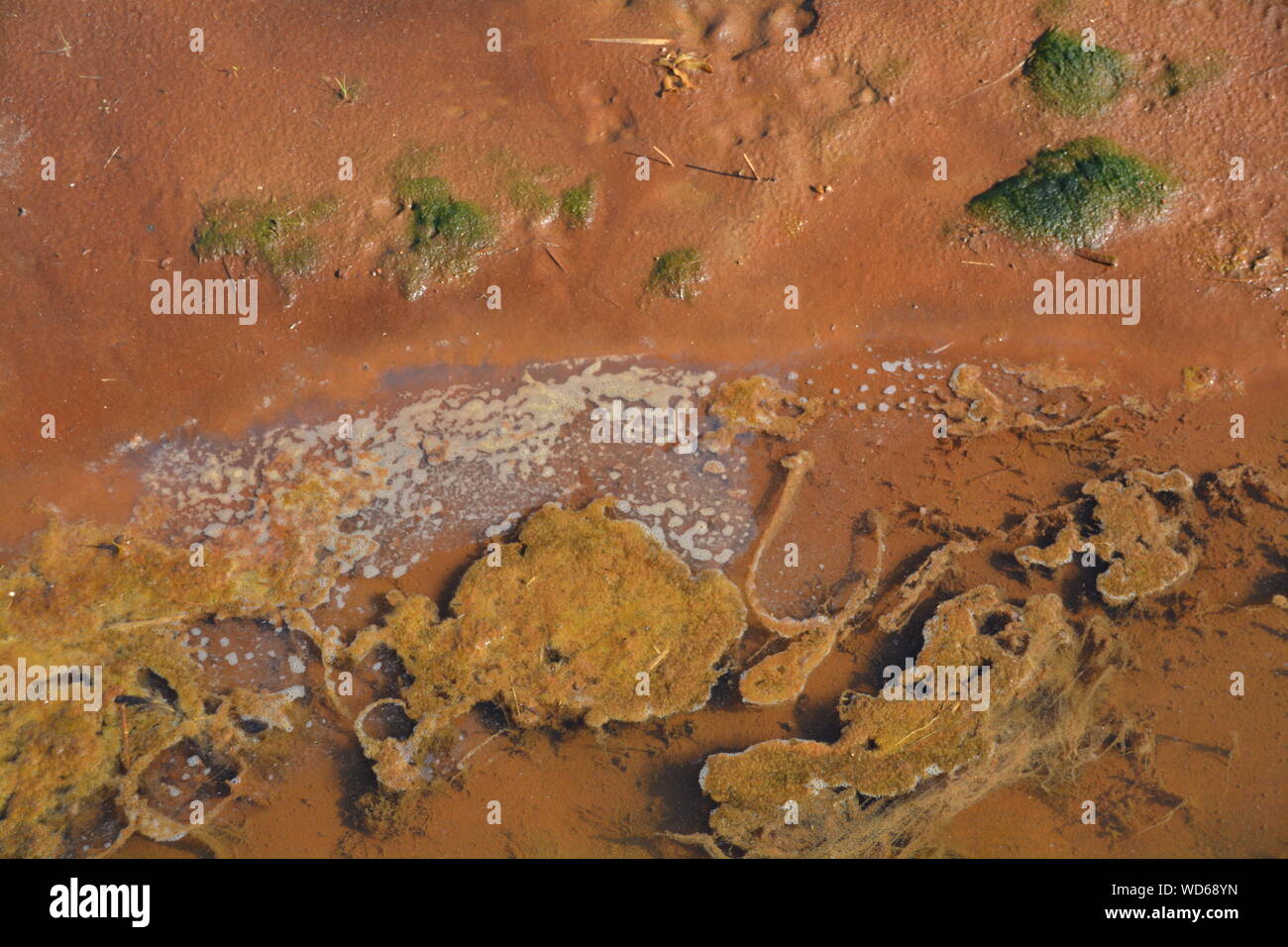 Mud Muddy Surface High Resolution Stock Photography and Images - Alamy