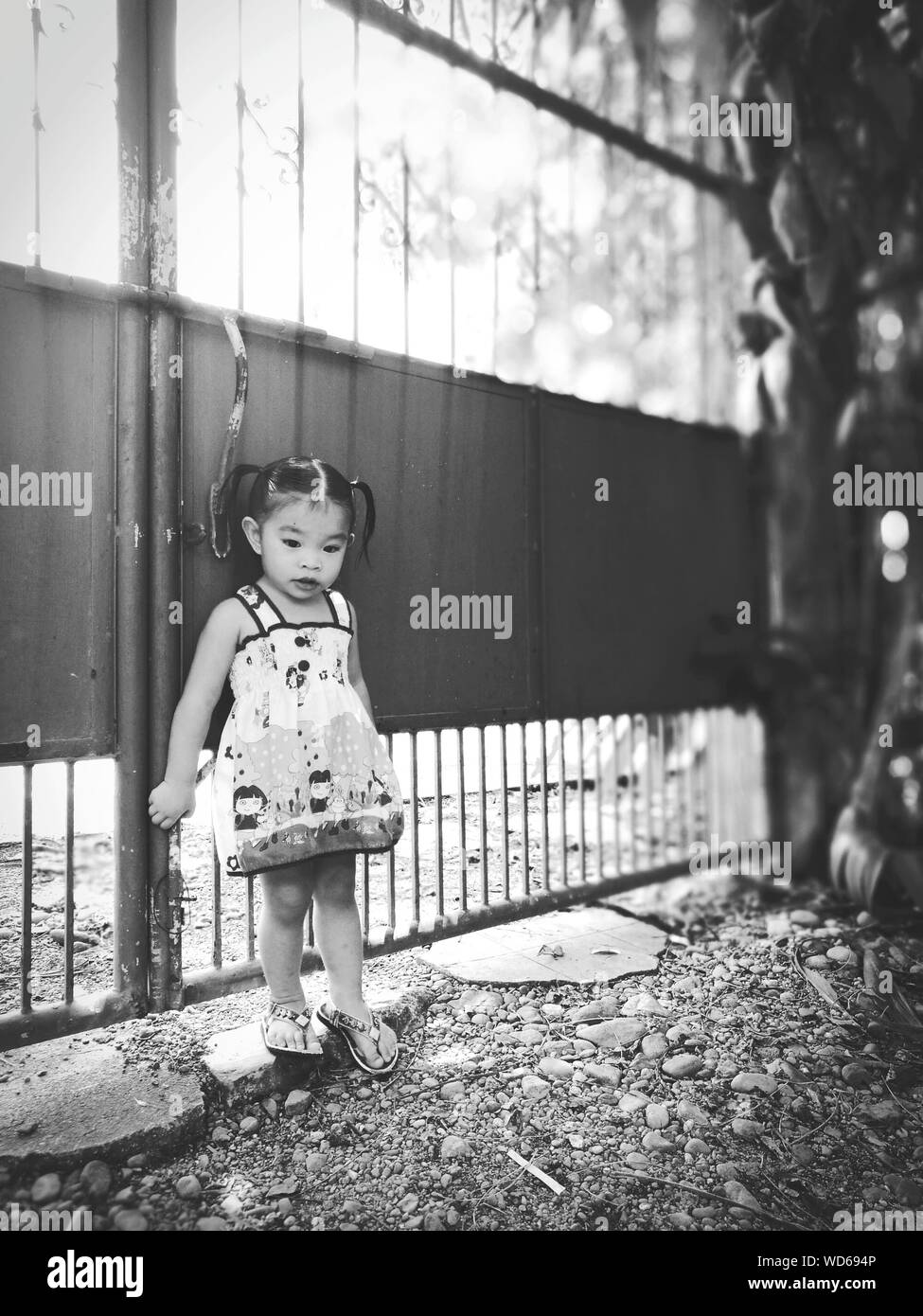 Cute gate hi-res stock photography and images - Alamy