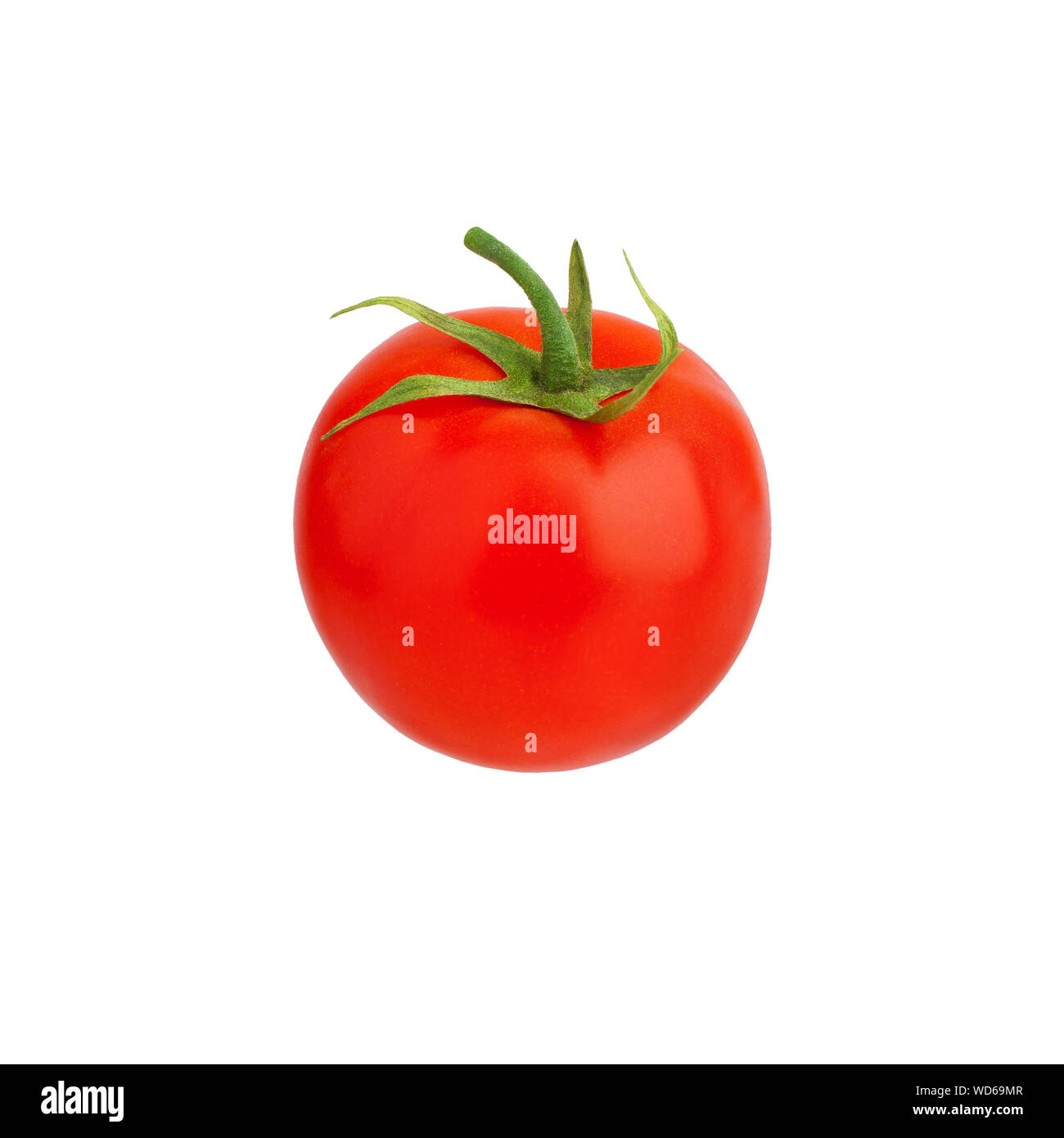 One red tomato with green leaves and stem on white background isolated ...