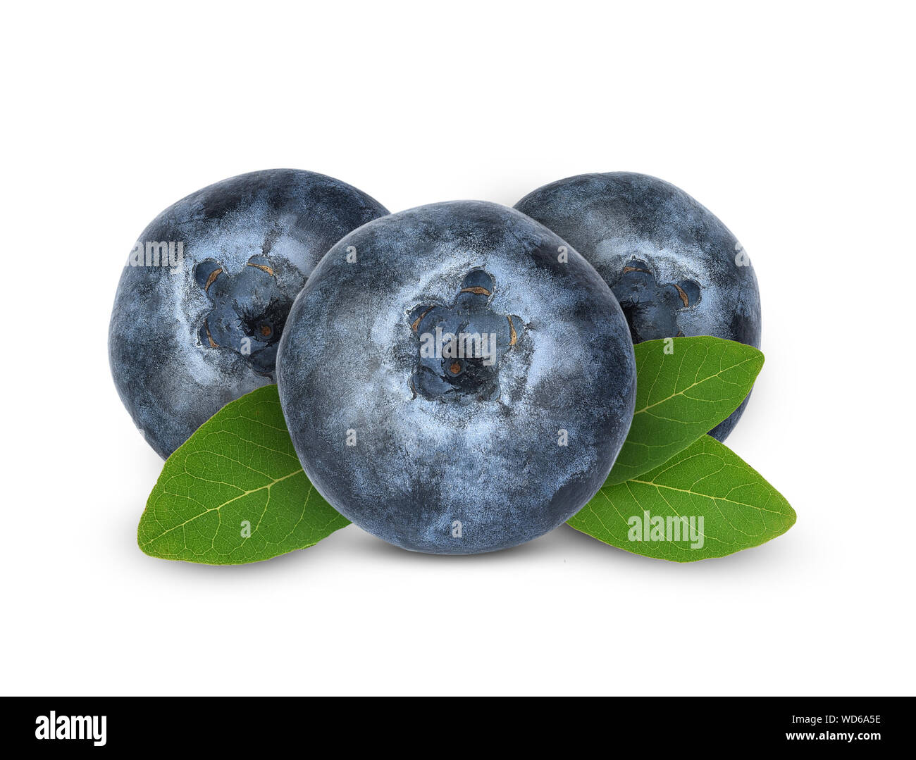 Blueberries isolated on white background Stock Photo - Alamy
