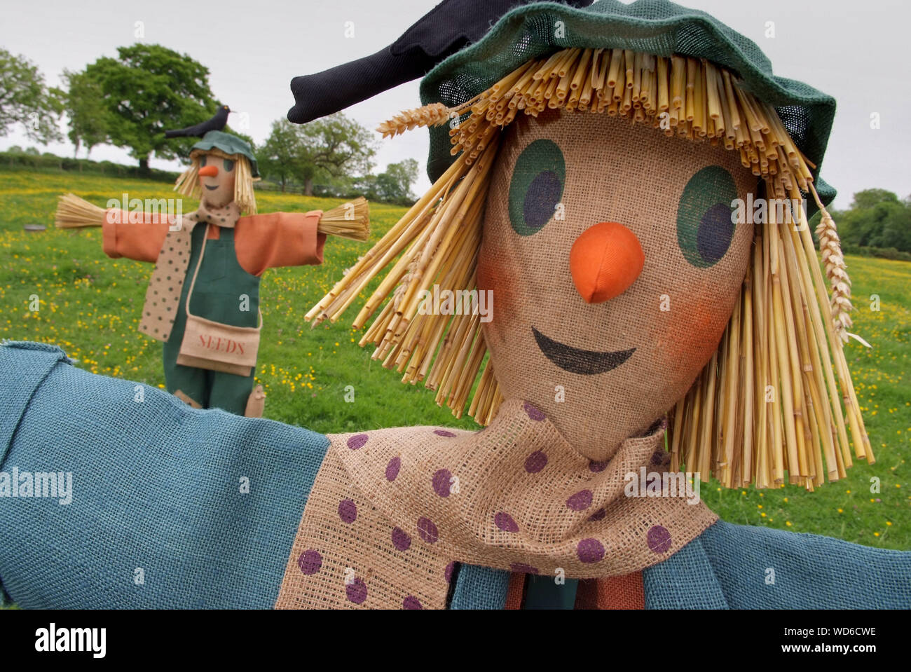 Smiley face scarecrow hi-res stock photography and images - Alamy