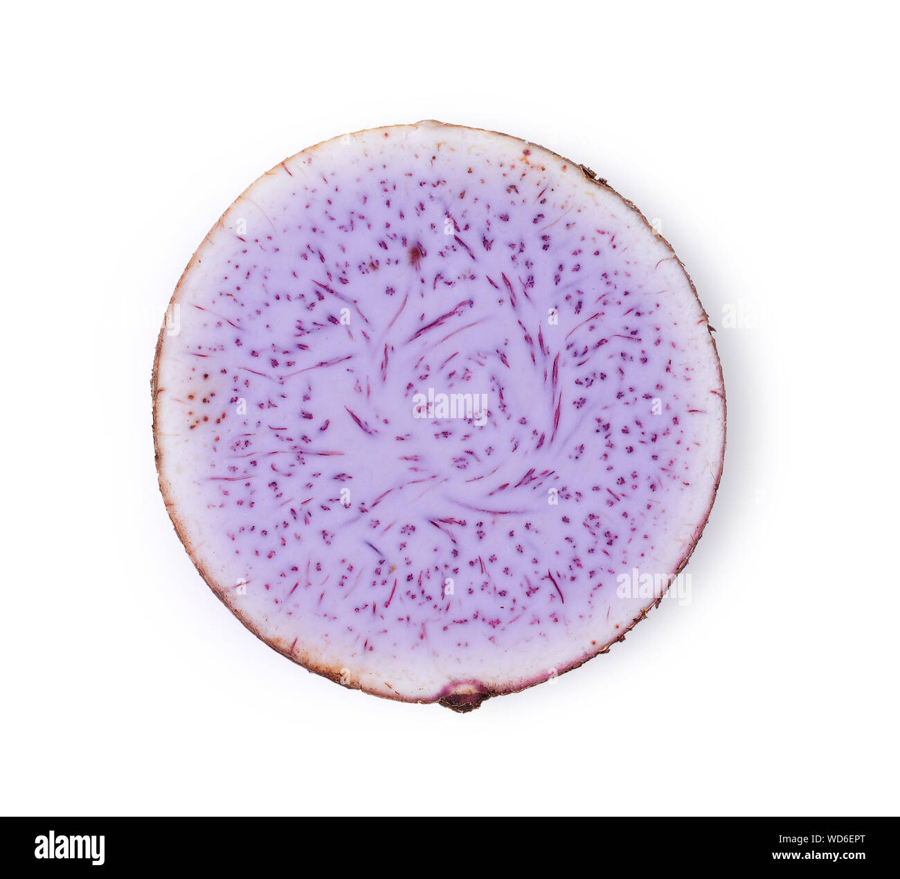 Taro, sliced of taro isolated on white background ,Top view Stock Photo ...