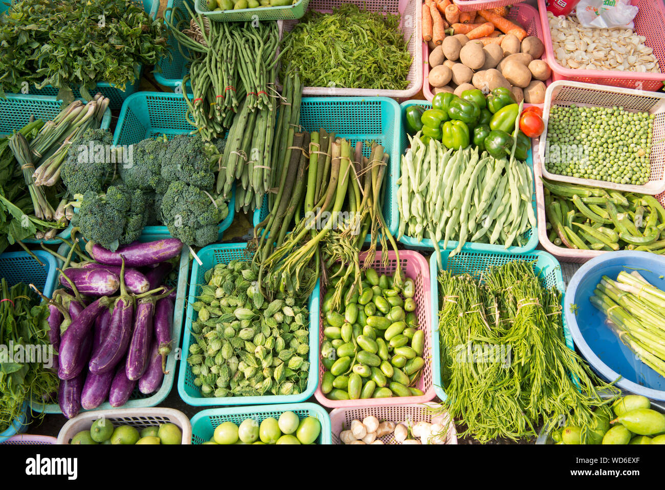 Green pepper in plastic container hi-res stock photography and images ...