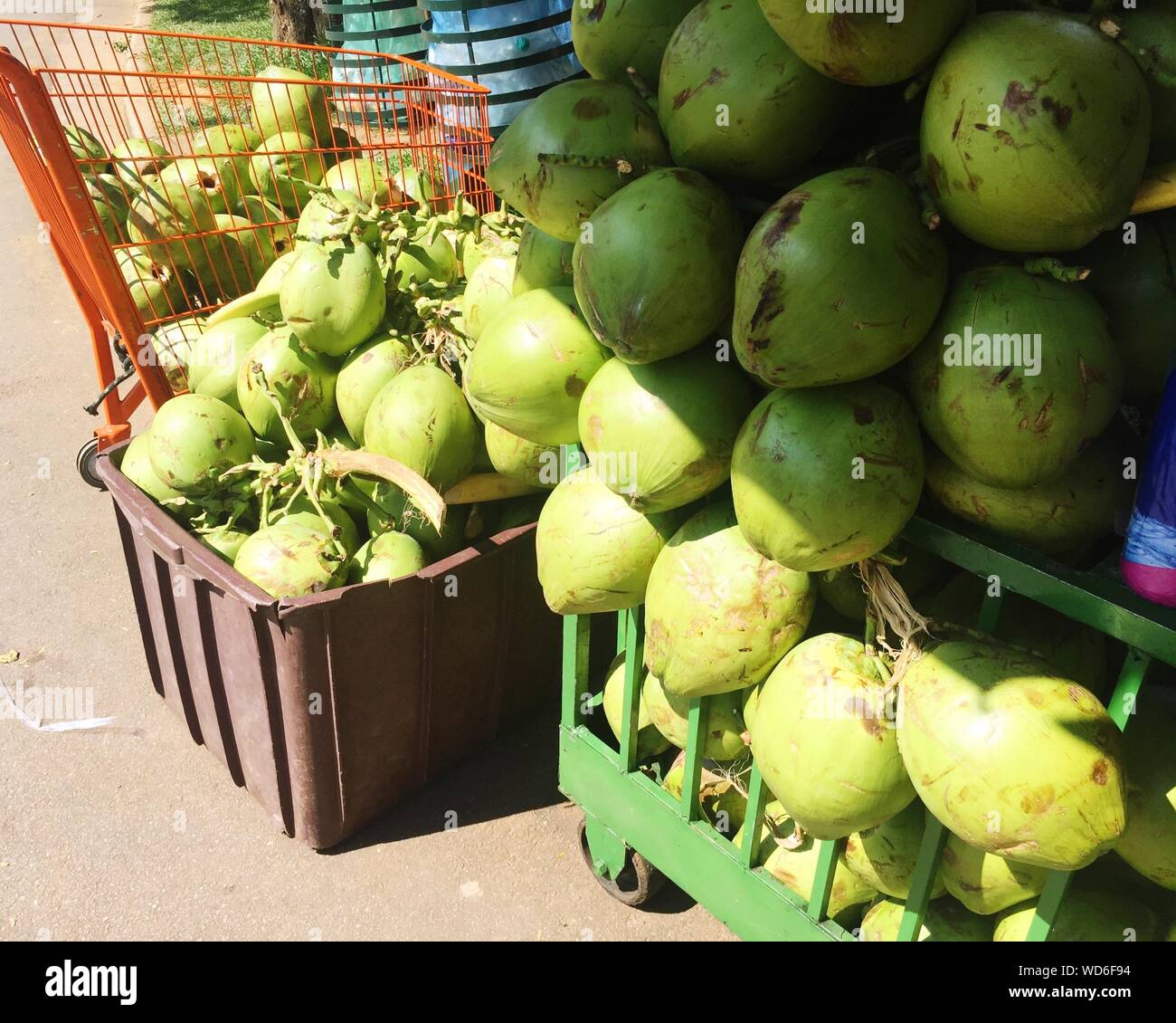 Shopping cart with coconuts hi-res stock photography and images - Alamy