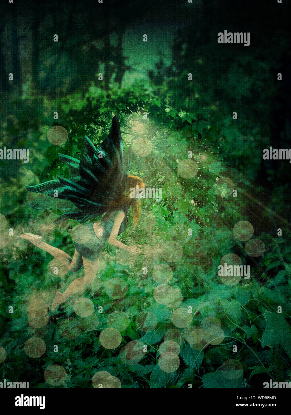 Abstract illustration of fairy fly in the forest Stock Photo - Alamy