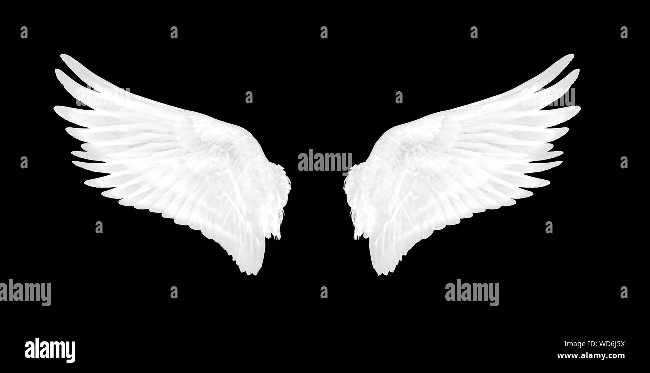 Bird on black Black and White Stock Photos & Images - Alamy