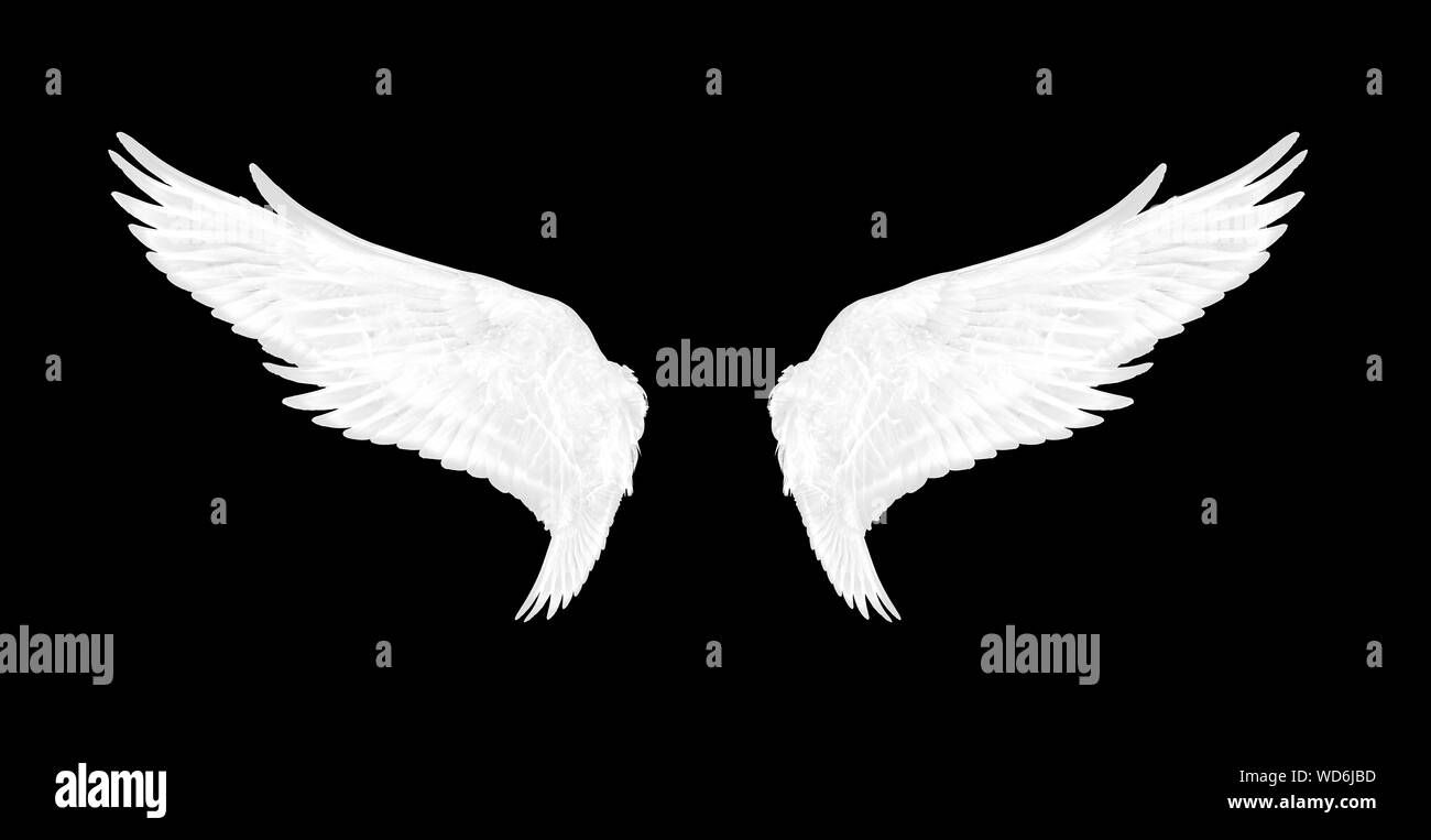 Bird on black Black and White Stock Photos & Images - Alamy