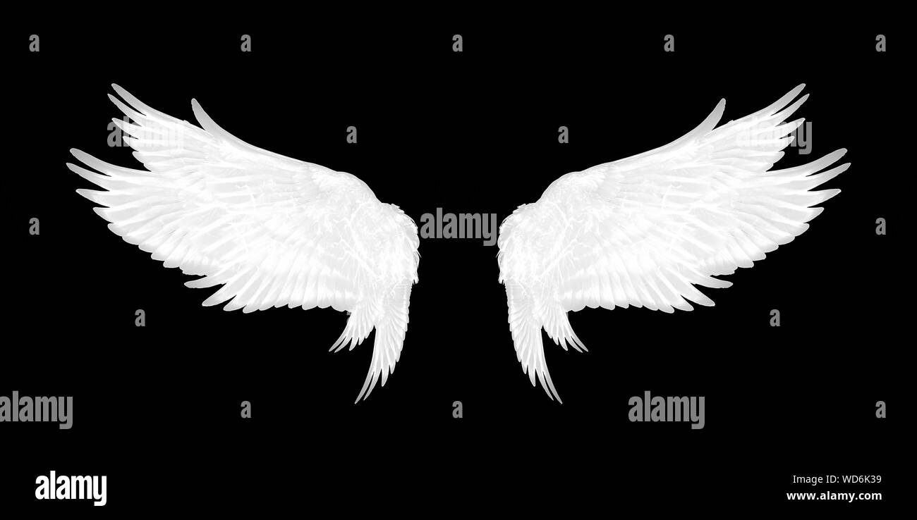 Bird on black Black and White Stock Photos & Images - Alamy