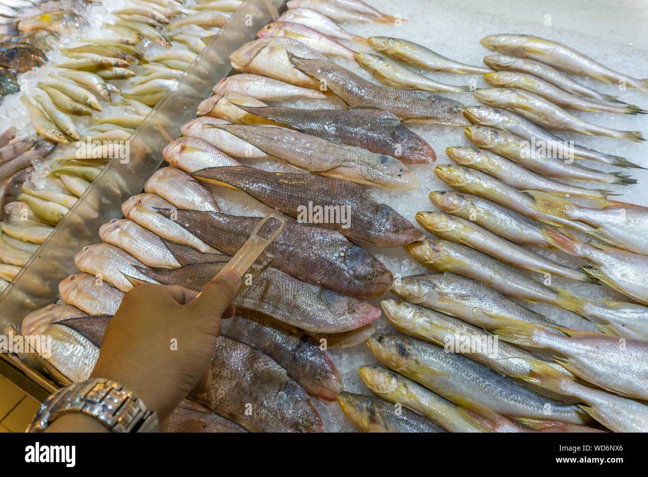 Human hand using tongs picking raw fish at seafood market Stock Photo ...