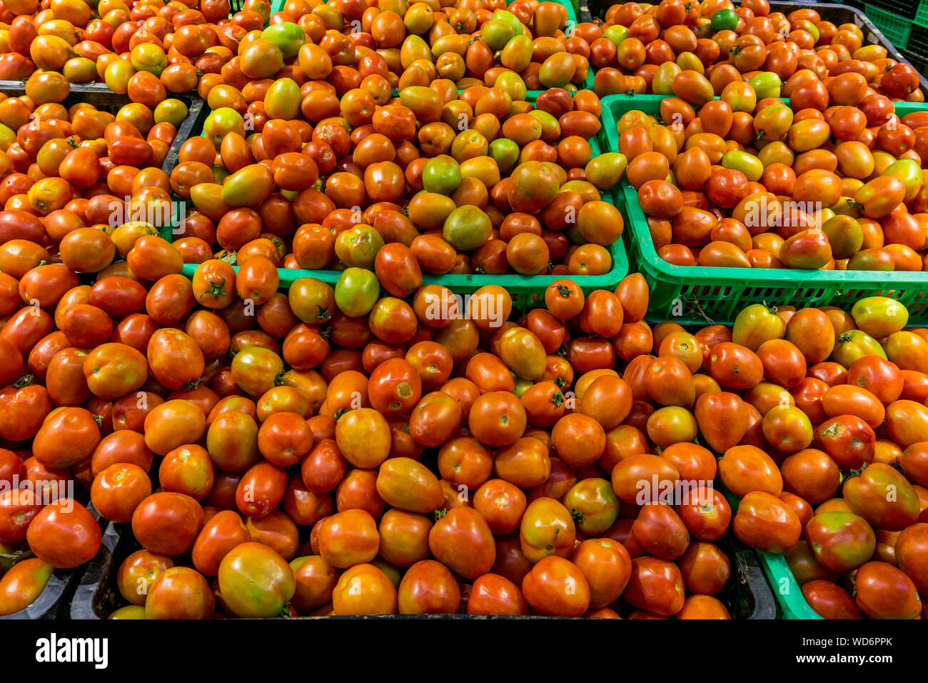 Pile of fresh tomato for sale at grocery store Stock Photo - Alamy