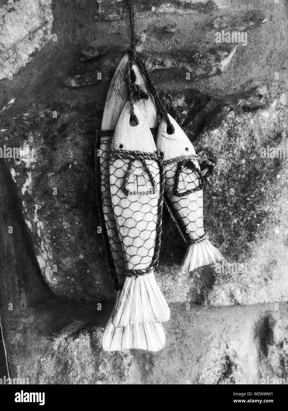 Stone fish Black and White Stock Photos & Images - Alamy